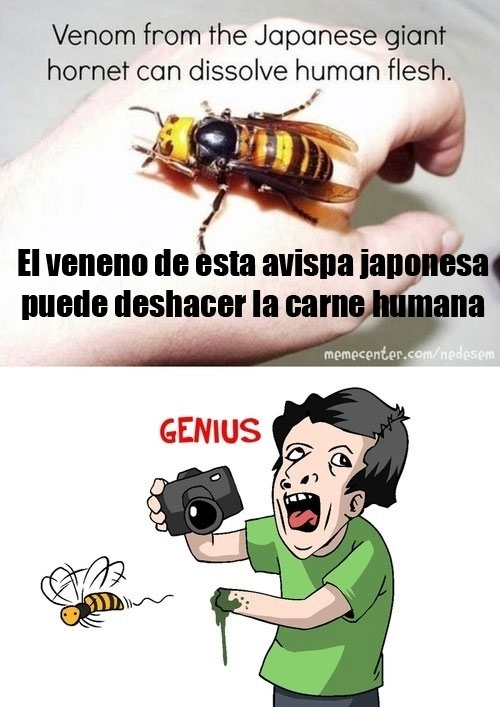 genius - Meme by pmmmmmmm :) Memedroid