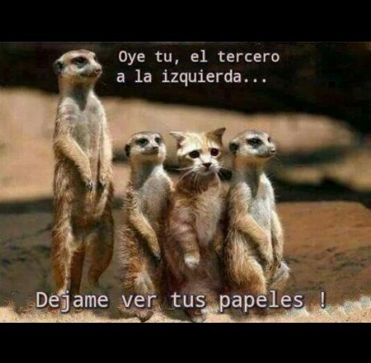 Intruso - Meme subido por pumaazul80 :) Memedroid