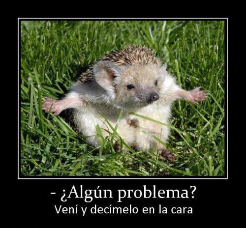 algún problema? - Meme subido por ailingg90 :) Memedroid