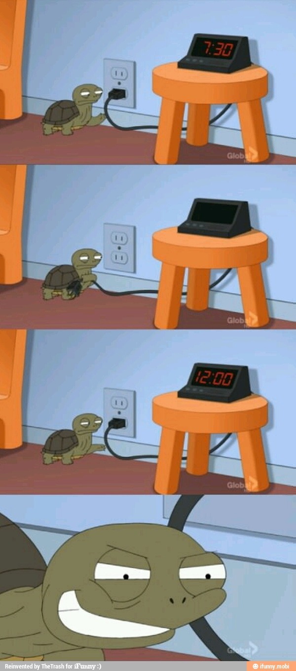 That turtle has to pay - Meme by PROMETHEUS :) Memedroid