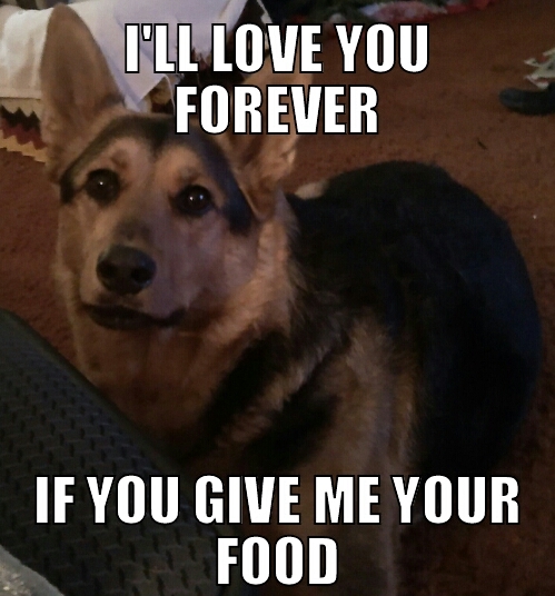 I Ruv You - Meme by Barbie_Chik :) Memedroid