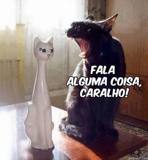 fala alguma coisa - Meme by denner208 :) Memedroid