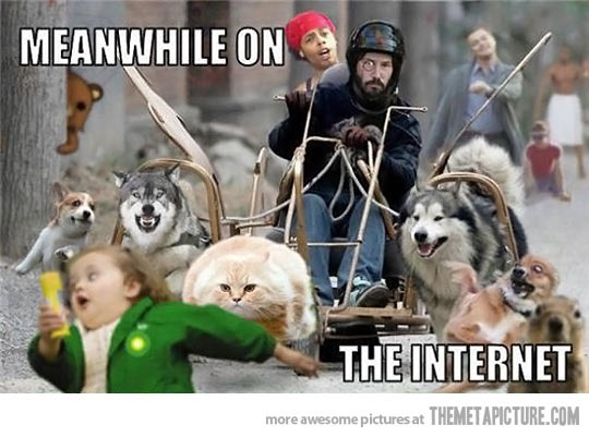 HELLO OLD INTERNET - Meme subido por thetitlereturns :) Memedroid