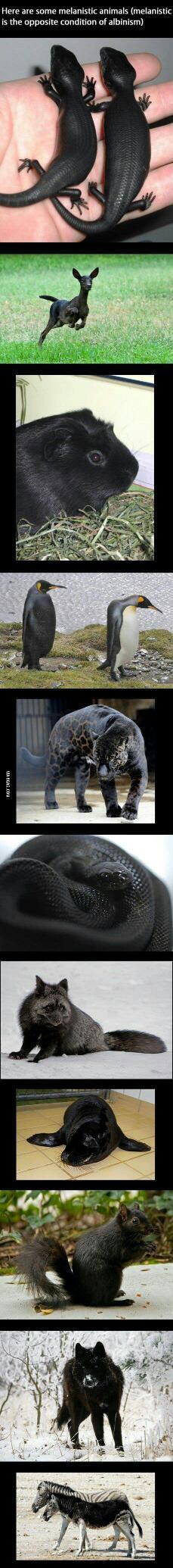 danm - Meme by bugmaster.dre2 :) Memedroid