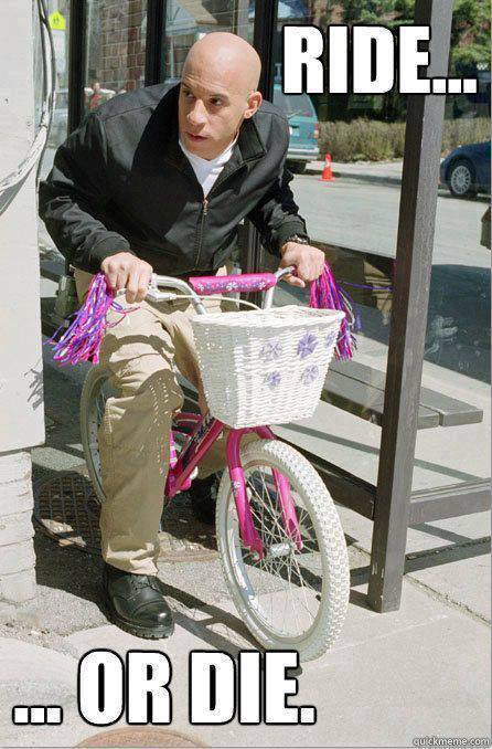 Ride or Die. - Meme by shaheerahmadk99 :) Memedroid