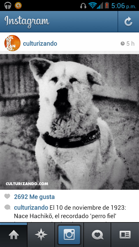 Grande hachiko - Meme subido por samuelcastellanos1 :) Memedroid