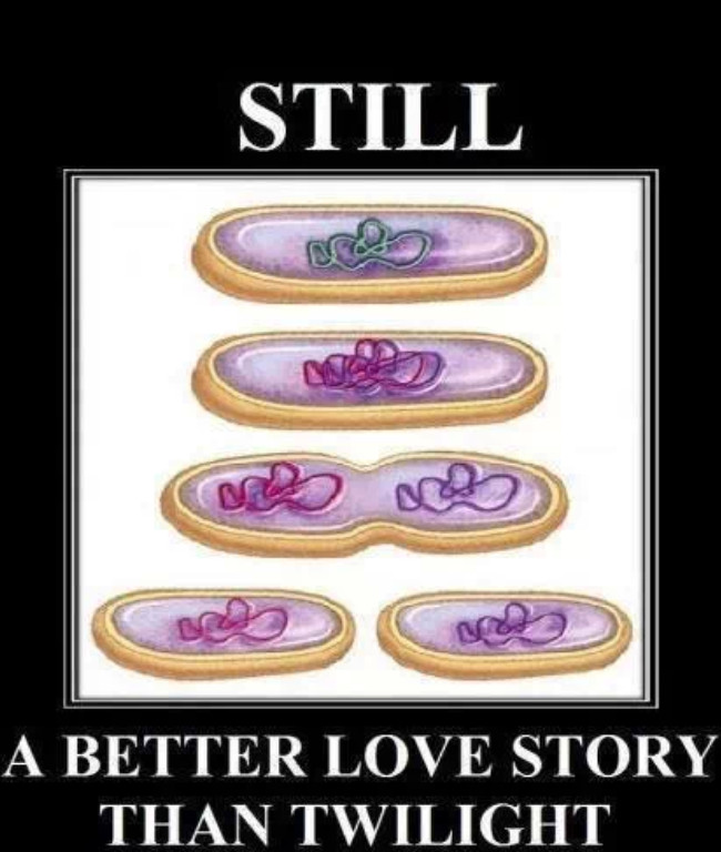 still - Meme by multanitania :) Memedroid