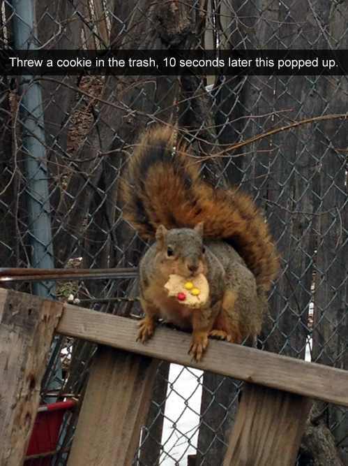 He saw the opportunity and he took it - Meme by TheOmegaOperative ...