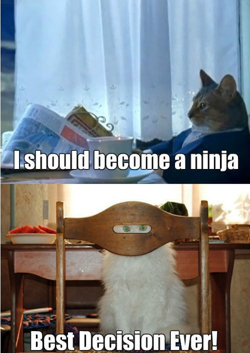 Ninja - Meme by purpleturtle :) Memedroid