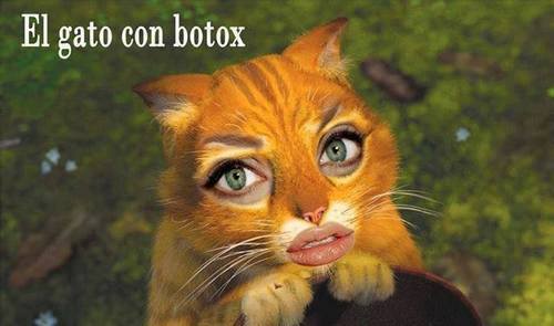 con botox - Meme by BeaHoran :) Memedroid