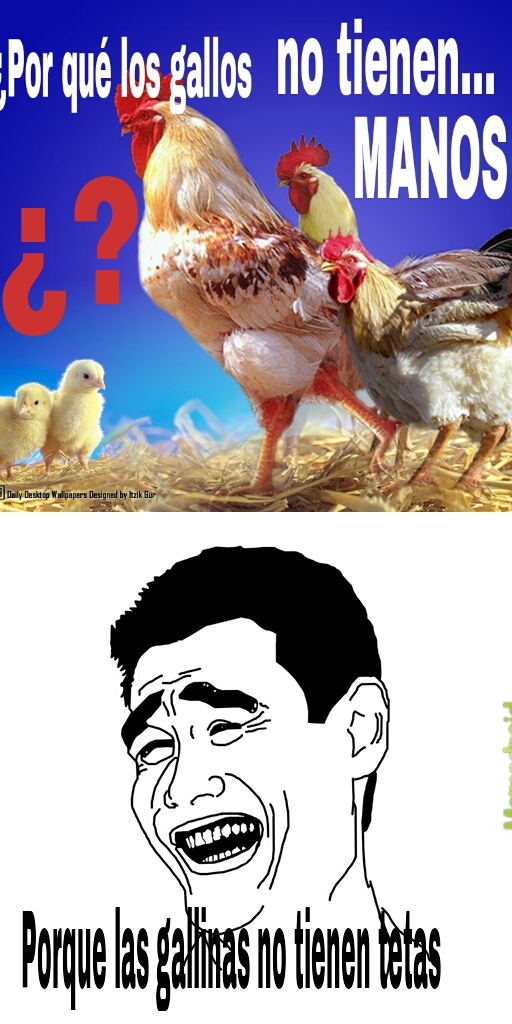 Por qué los gallos no tienen manos ? - Meme subido por mikimenendez ...