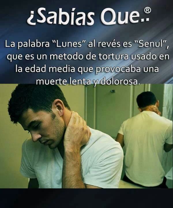 senul :0 - Meme subido por ailencita.o.o :) Memedroid