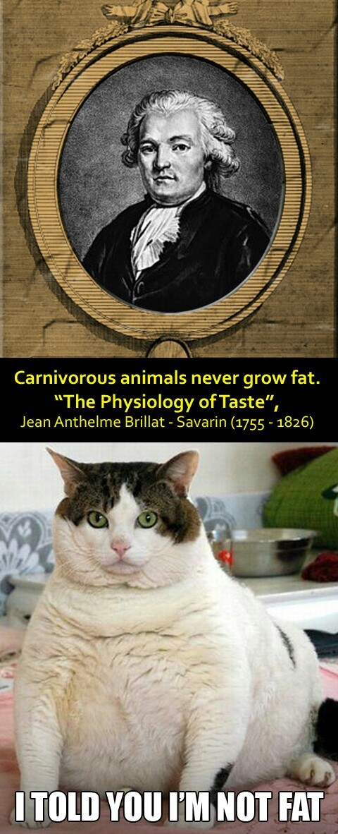 I'm just fluffy - Meme by soydolphin :) Memedroid