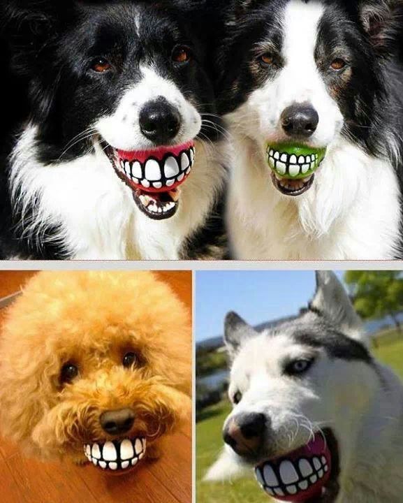 hapii!! - Meme subido por MAMCT :) Memedroid