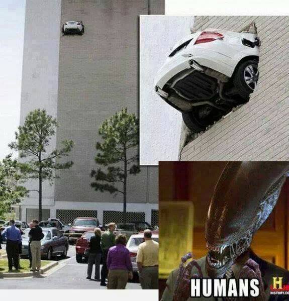 umm...yea - Meme by pelealorena99 :) Memedroid