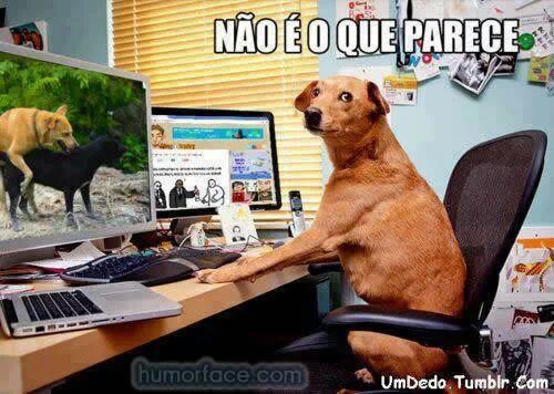 ops ; $ - Meme by tiagomocelincwb :) Memedroid