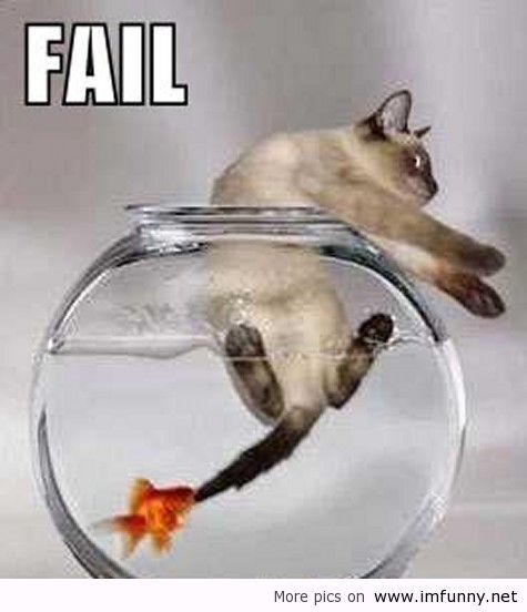 You bite I Bite back - Meme by ICE-T :) Memedroid