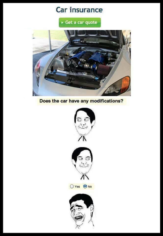 favorite animal? - Meme by critkilla1 :) Memedroid