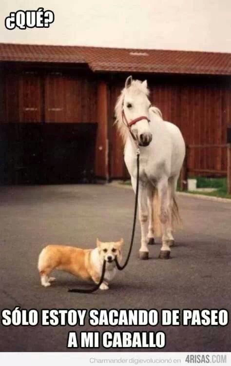 que pasa? - Meme subido por supermuffin :) Memedroid