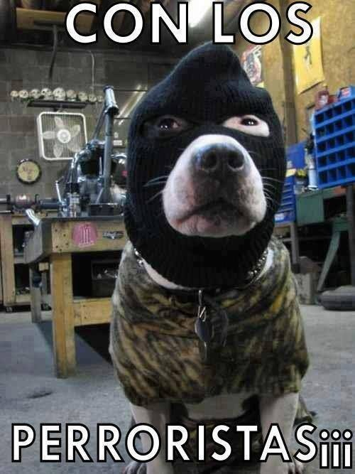 Con los terroristas - Meme subido por maga9120 :) Memedroid