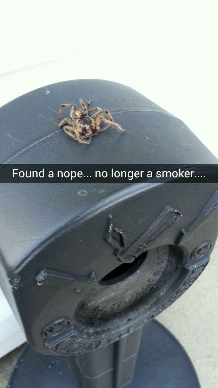 so I took my smoke break at work. ...... - Meme by fendabenda3000 ...