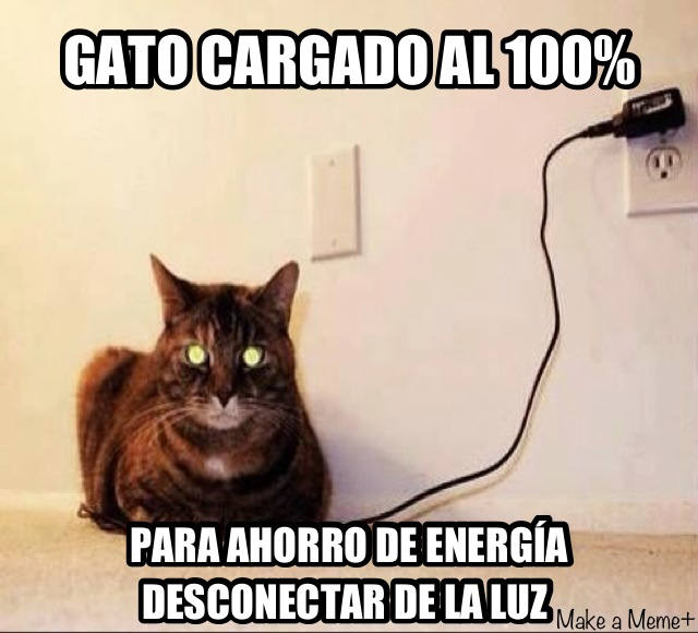 Típico dejas cargando tu gato hasta la tarde - Meme subido por ...