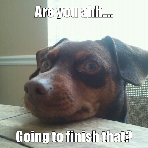 begger ... - Meme by Seeker620738 :) Memedroid