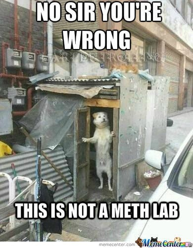 No sir - Meme by danielb52 :) Memedroid