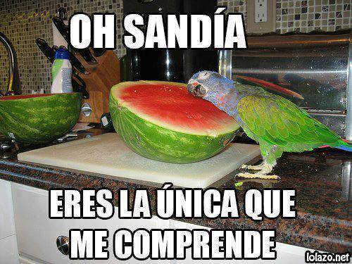 Oh sandia querida (? - Meme subido por naylaromero19971232 :) Memedroid