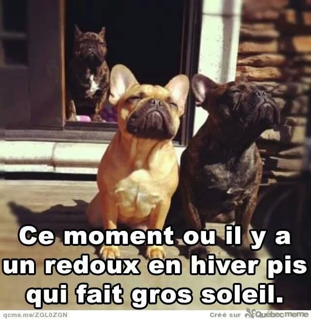 le soleil - Mème par lesy11223 :) Memedroid