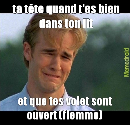 the flemme - Meme by loutre-rabougri :) Memedroid