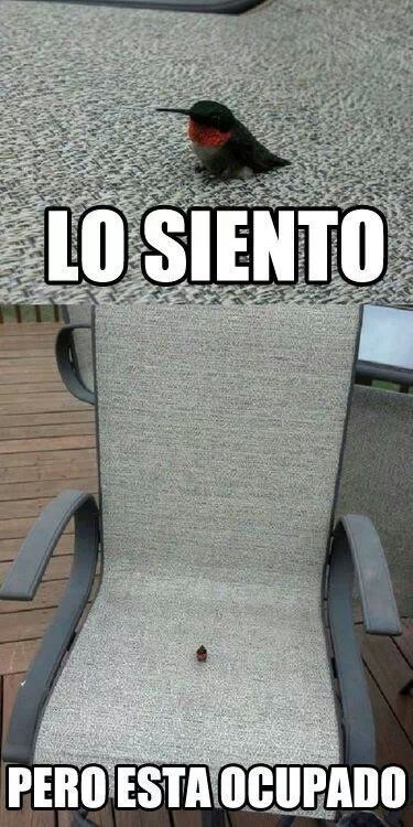 lo siento - Meme subido por mrmanu :) Memedroid