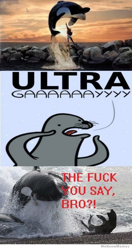 gayyyy - Meme by alexgutifalcon11 :) Memedroid