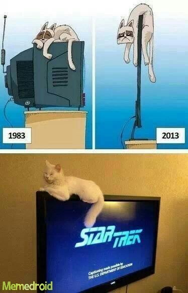 gato troll - Meme subido por santi321 :) Memedroid