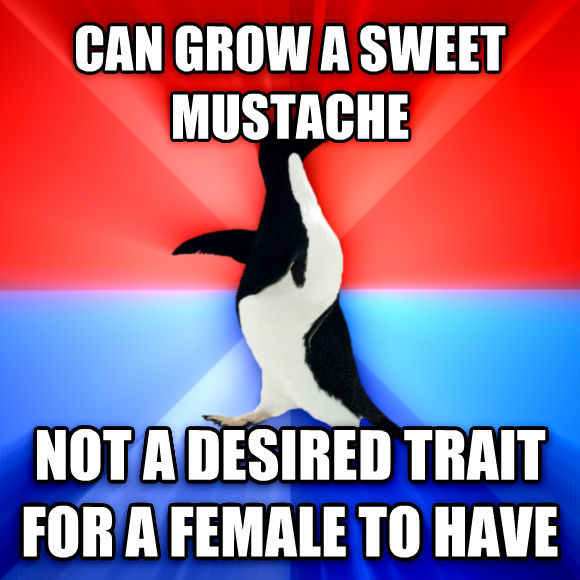 daaamn girl - Meme by lowe971 :) Memedroid