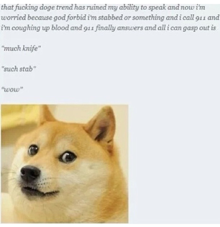 doge help us - Meme by Happyhurry :) Memedroid