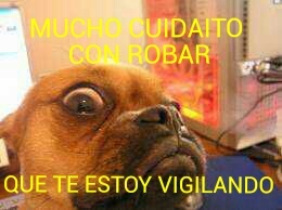 Que tengo vista de lince... - Meme subido por davidgarciar6 :) Memedroid