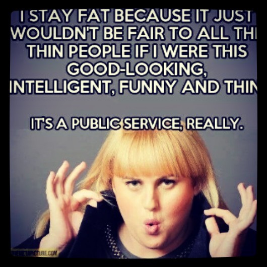 Fat Amy Memes