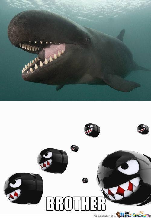 doodoodoo doo doo - Meme by meno23 :) Memedroid