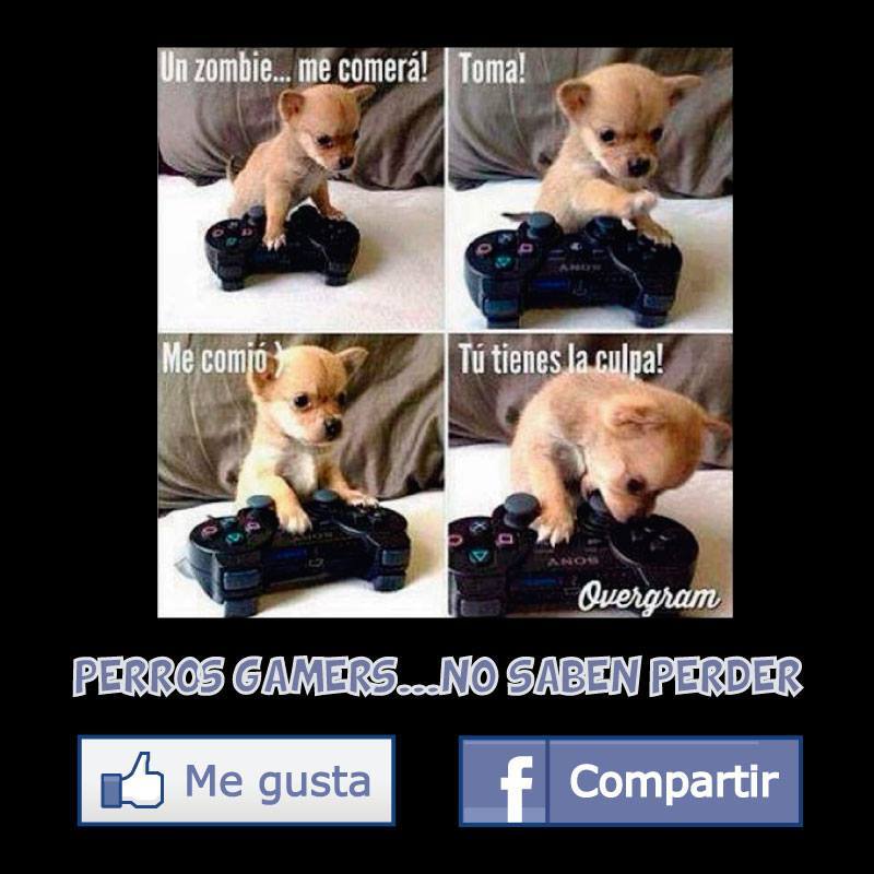 lindo - Meme subido por lautito99.lv :) Memedroid