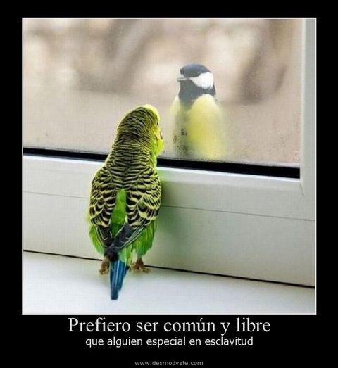 pues si!!! - Meme subido por antoniococinas22 :) Memedroid