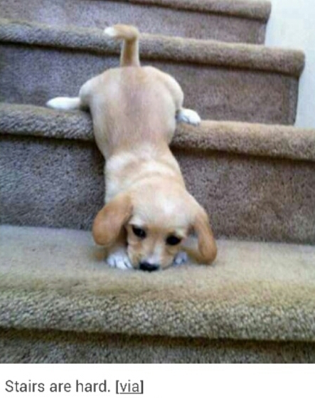 They're steep! - Meme by TheOmegaOperative :) Memedroid