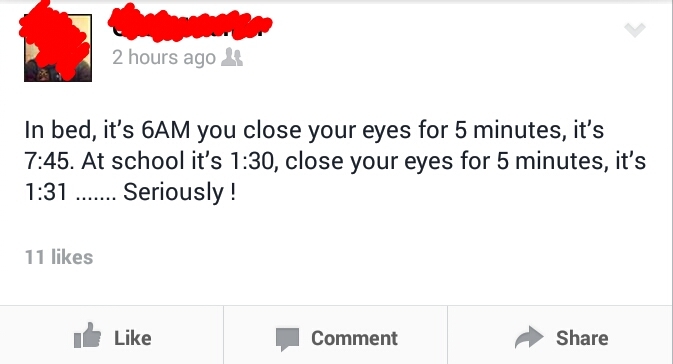 doge vs grumpy cat - Meme subido por Witer :) Memedroid