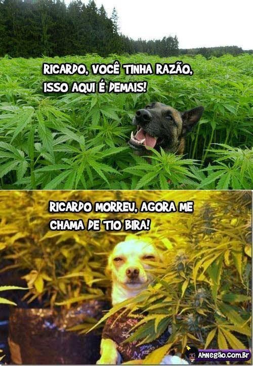 tio bira - Meme by lipetroll :) Memedroid