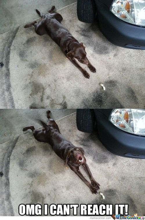 nooo!!! - Meme subido por Waitforit :) Memedroid