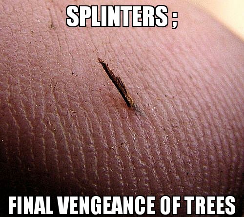 got 3 splinters from woodshop class today - Meme by ssenay2000 :) Memedroid