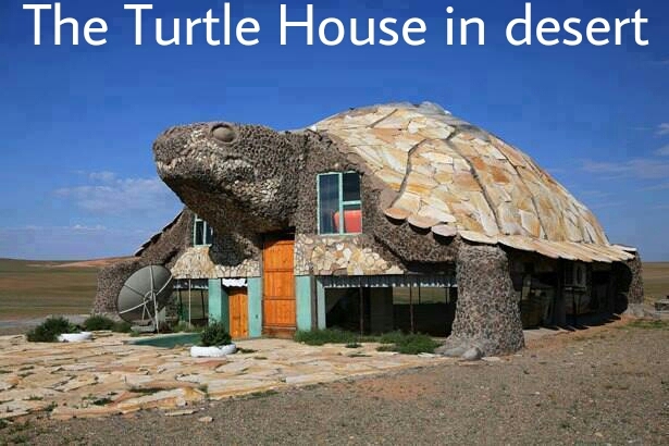 The Turtle House in desert - Meme by danielhumberto44 :) Memedroid
