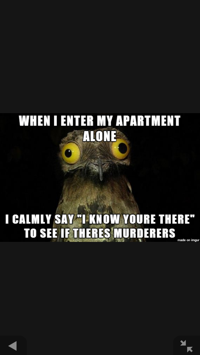 Sib is awesome - Meme by Order 66 :) Memedroid