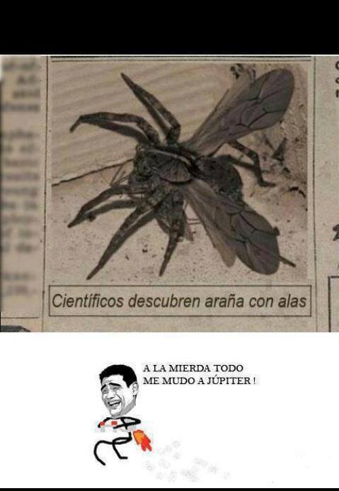 jaaa - Meme subido por bastiian1010 :) Memedroid