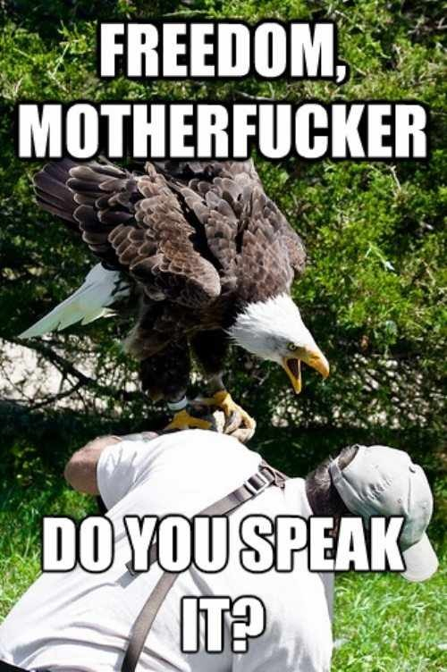 Let freedom ring - Meme by Paul2127 :) Memedroid